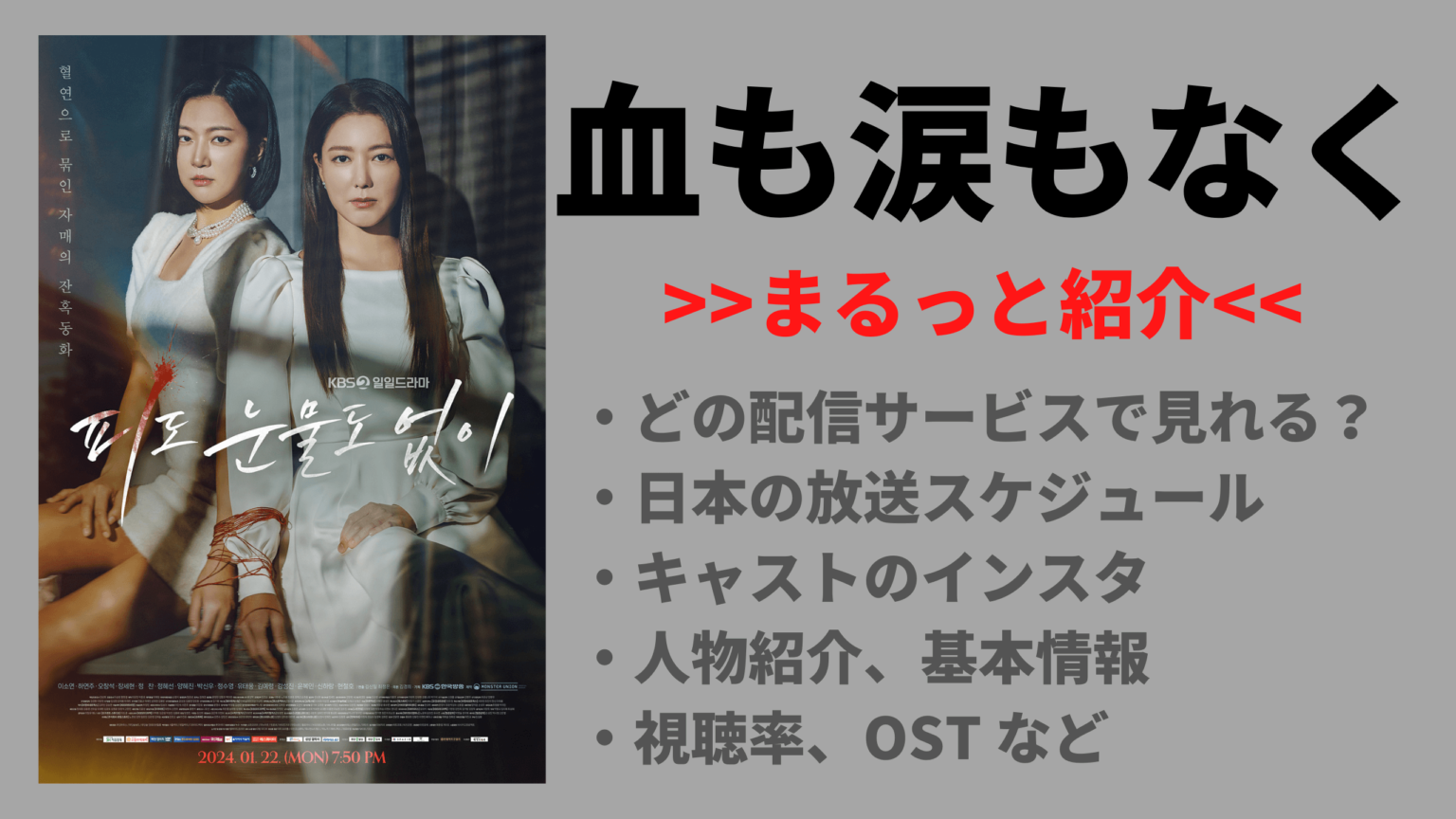 イ・ソヨン主演ドラマ【血も涙もなく】キャスト、あらすじ、基本情報は?日本での放送は?配信サービスはどこで見れる? Mogyu韓ドラ情報を
